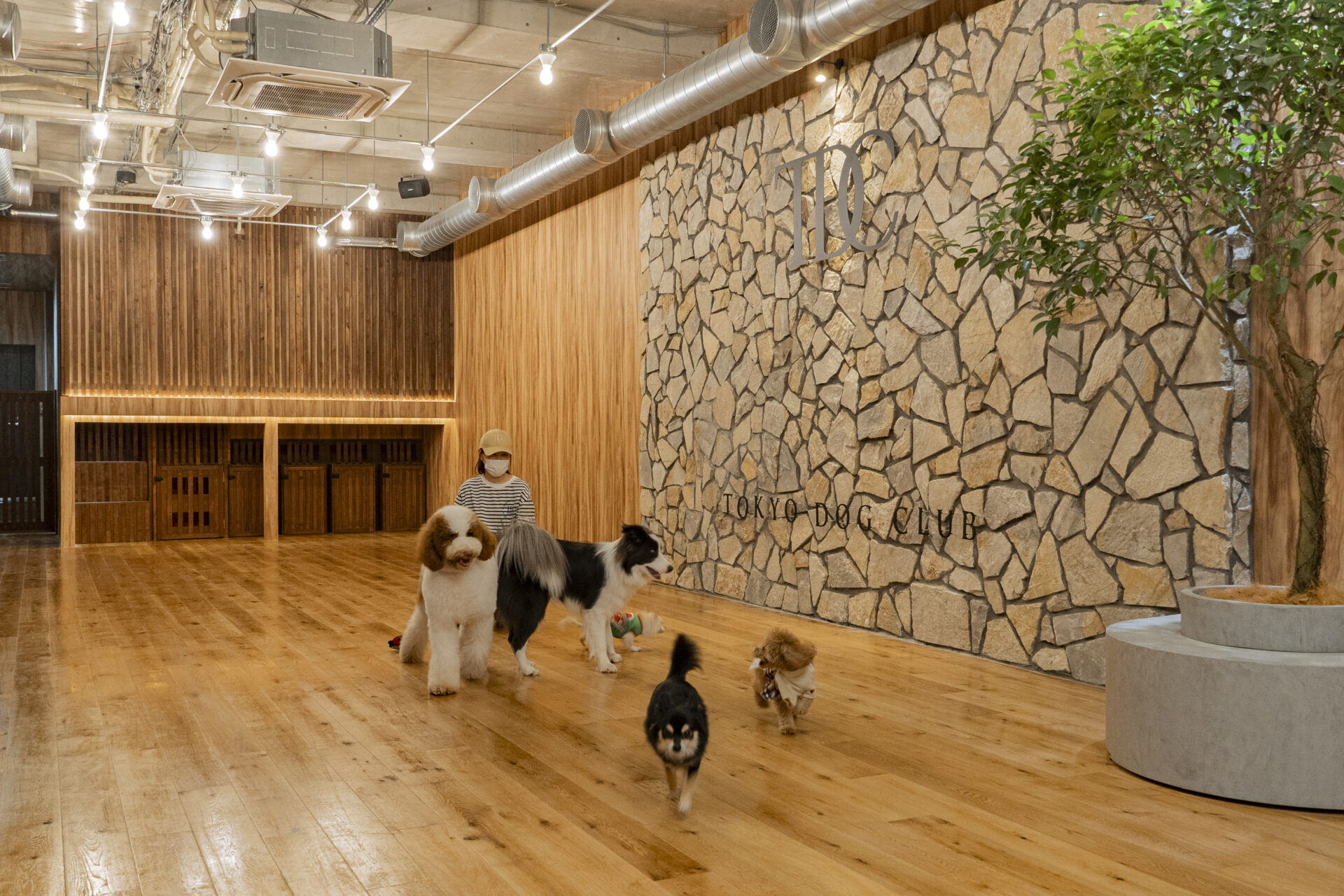 Tokyo Dog Club Health & Retreat